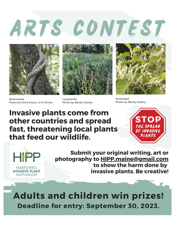 Picture This! An Arts Contest about Invasive Plants! - Harpswell ...